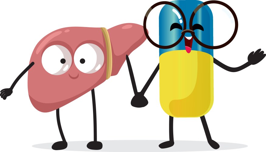 Liver Cartoon Vector Images (over 5,500)