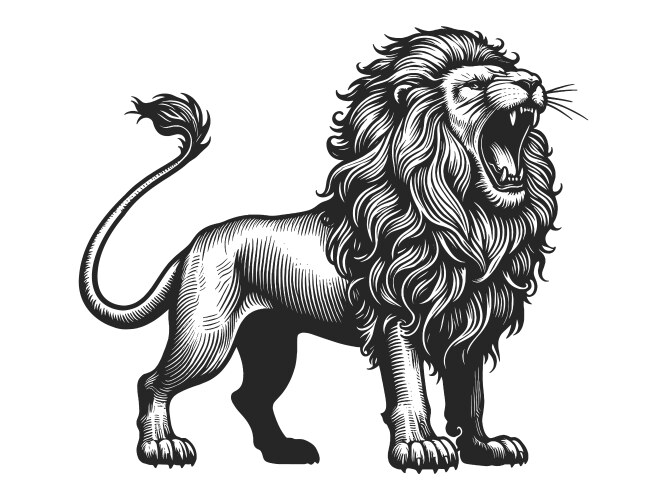 Lion Engraving Vector Images (über 1,200)