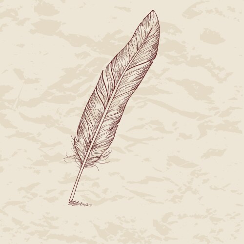 Feather Vector Images (over 260,000)