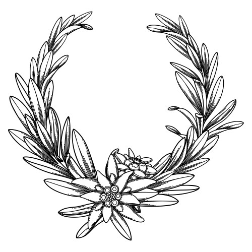 Edelweiss Flower White Vector Images (over 370)