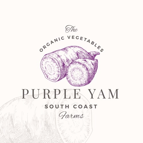 Yam Vector Images (over 1,900)