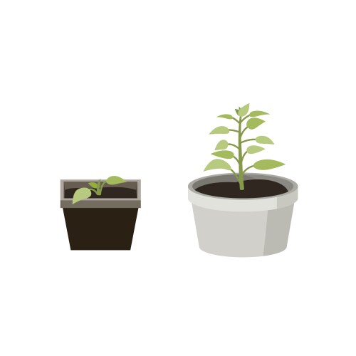 Set of plants in orange pots indoor or outdoor Vector Image