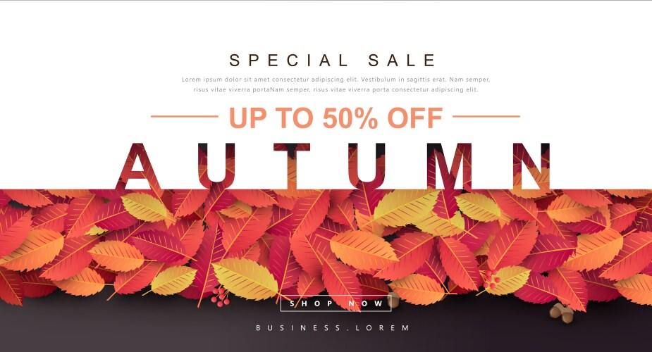 Autumn gift promotion coupon banner background Vector Image