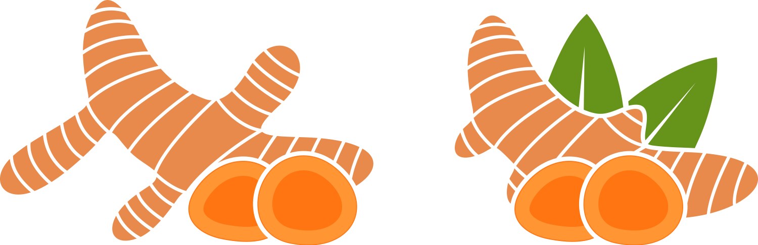 Turmeric Vector Images (over 3,100)