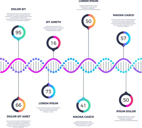 Infographic dna and rna spiral ribonucleic vs Vector Image