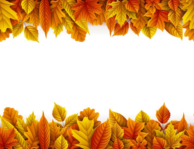 Set of colorful autumn leaves white background Vector Image
