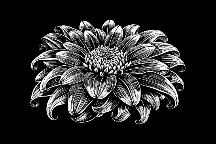 Engraving Flower Vector Images (over 45,000)