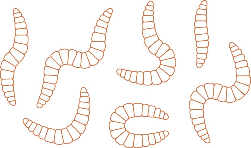 Earthworm Black and White Vector Images (over 920)