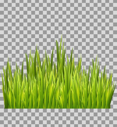 Grass Bottom Vector Images (over 710)