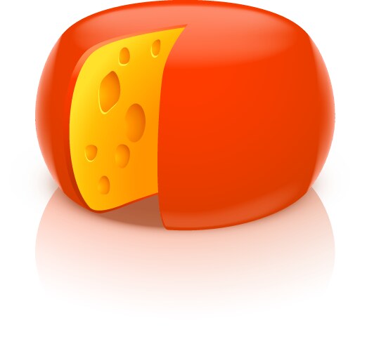 Realistic cheese head and piece Royalty Free Vector Image