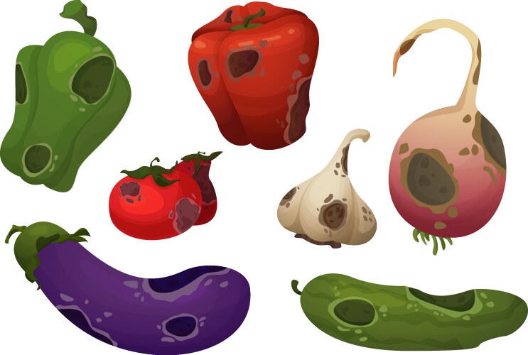 Bad food rotten fruits and vegetables spoiled Vector Image