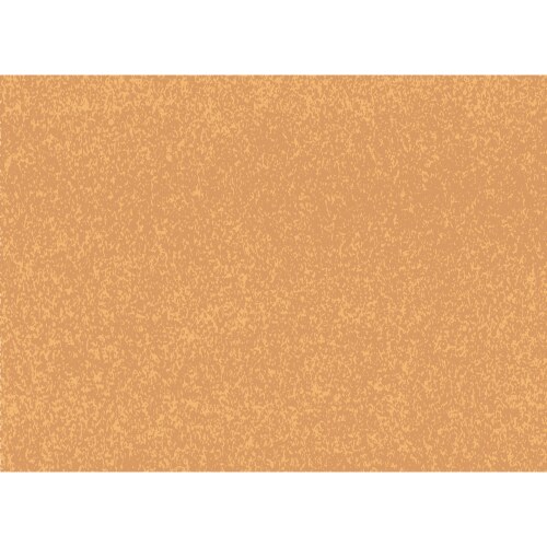 Cork seamless texture corkboard pattern wooden Vector Image