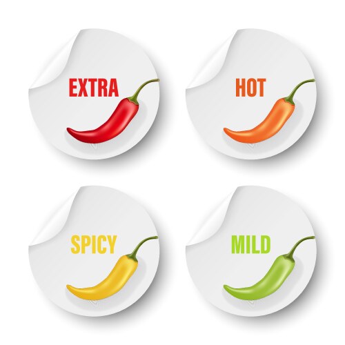 Realistic round stickers with spicy chili Vector Image