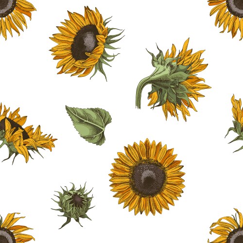 Seamless vintage sunflowers Royalty Free Vector Image