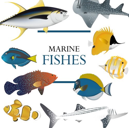 Collection of tropical fish Royalty Free Vector Image