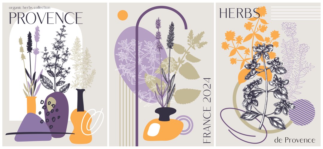 Collage-style provence herbs background herbal Vector Image