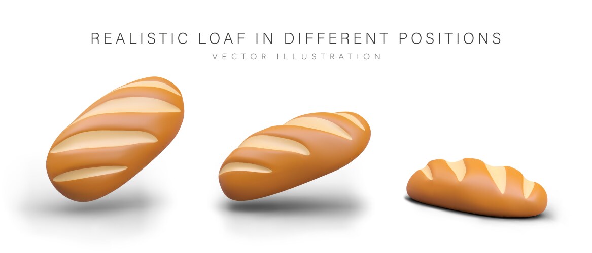 Realistic braided bread in different positions Vector Image