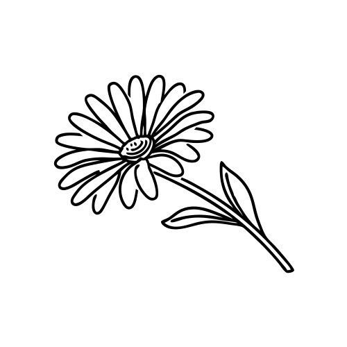 Daisy Line Vector Images (over 16,000)