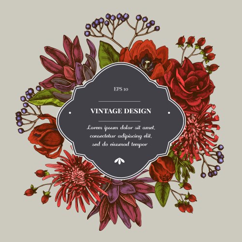 Aster Logo Vector Images (over 830)