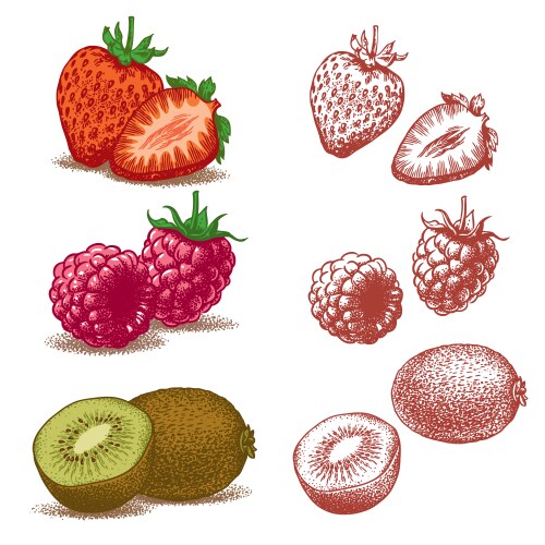 Raspberry Vector Images (over 29,000)