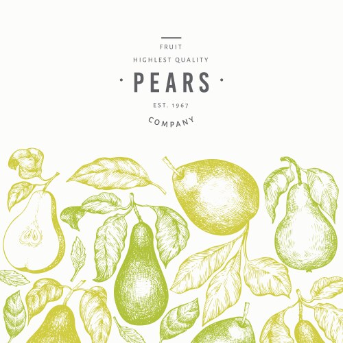Pear design template hand drawn garden fruit Vector Image