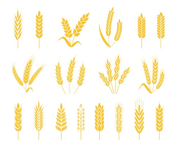 Barley Vector Images (over 35,000)
