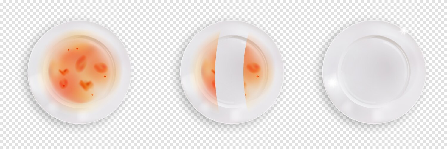 Clean plates Royalty Free Vector Image - VectorStock