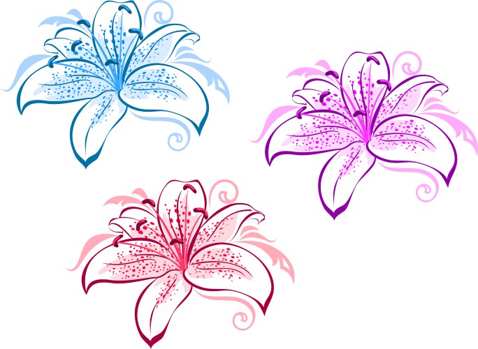 Lily Vector Images (over 48,000)