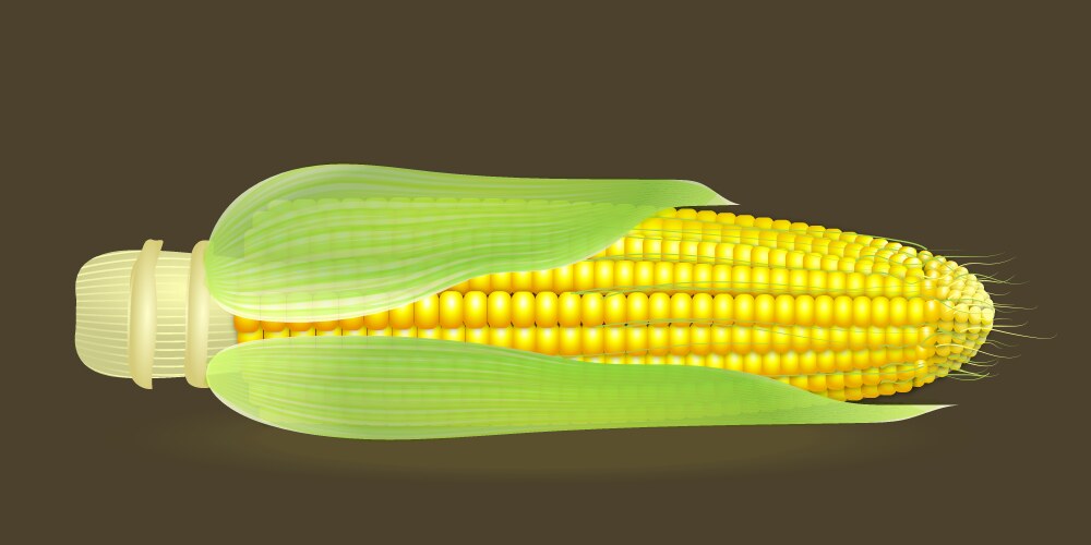 Corn Vector Images (over 100,000)