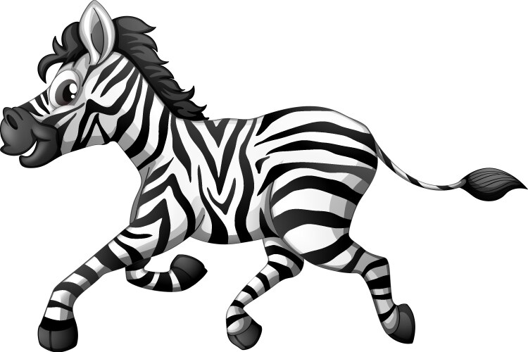 Zebra cartoon animal Royalty Free Vector Image