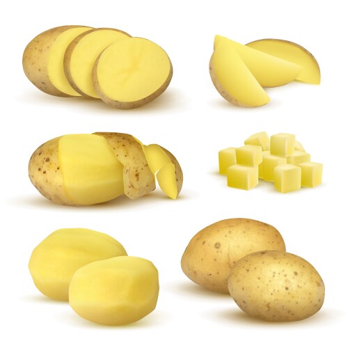 Potatoes Royalty Free Vector Image - VectorStock
