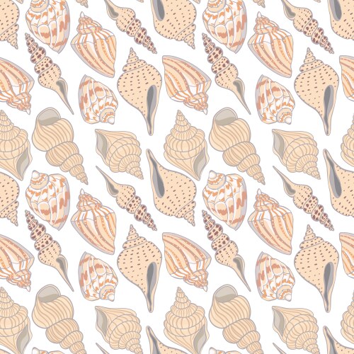 Seashells Vector Images (over 36,000)