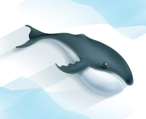 Whale spout Royalty Free Vector Image - VectorStock