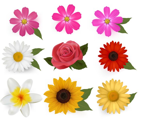 Flower icon set Royalty Free Vector Image - VectorStock
