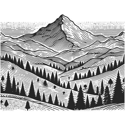 Mountain landscape with forest engraving Vector Image