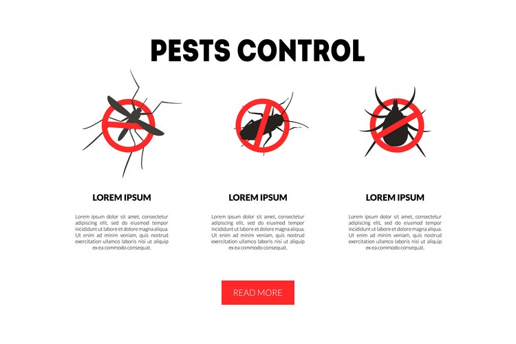 Eco-friendly pest control logo template – Royalty-Free Vector | VectorStock