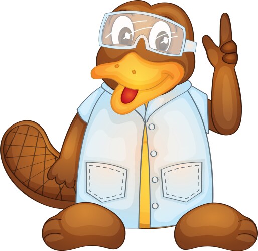 Cartoon platypus isolated on white background Vector Image