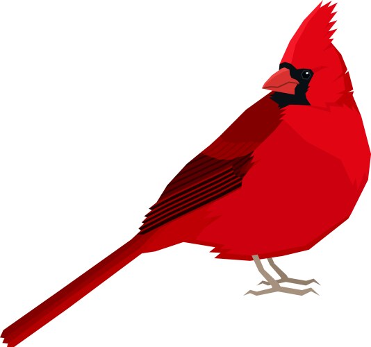 Cardinal Vector Images (over 5,000)