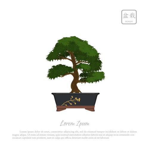 Bonsai tree icon set Royalty Free Vector Image