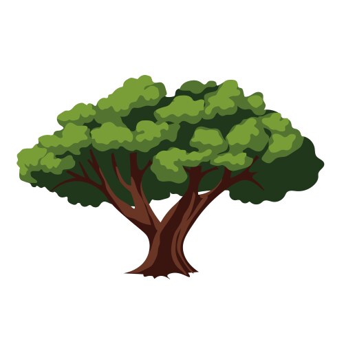 Oak Tree Cartoon Vector Images (over 9,300)