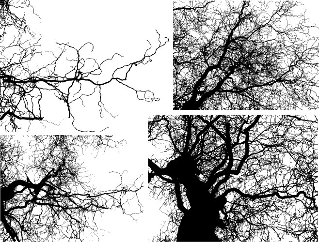 Branches Vector Images (over 610,000)