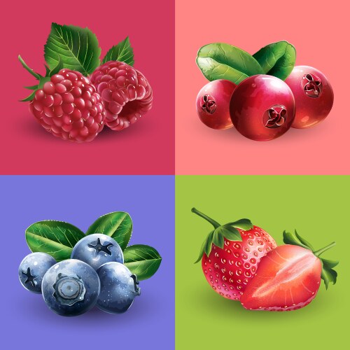Raspberries blueberries and strawberries Vector Image