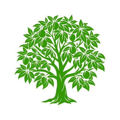 Mango Outline Vector Images (over 2,200)