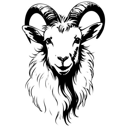 Angora goat portrait monochrome outline drawing Vector Image