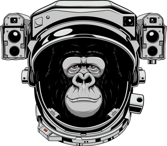 Astro monkey Royalty Free Vector Image - VectorStock