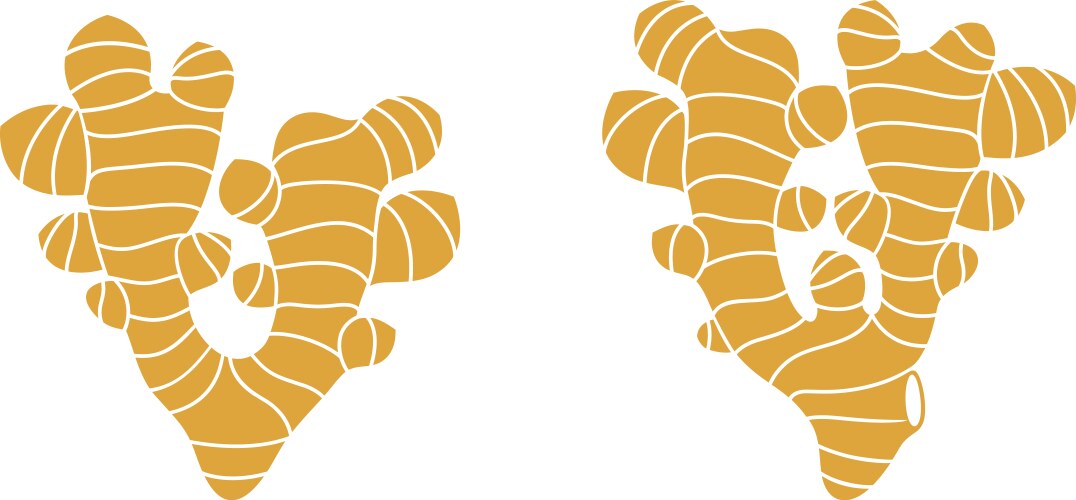 Ginger Royalty Free Vector Image - VectorStock