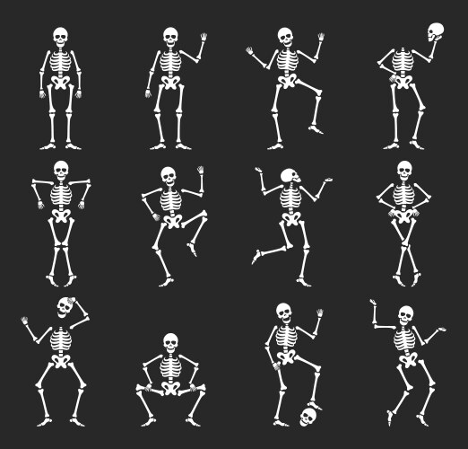 Funny Skeleton Vector Images (over 13,000)