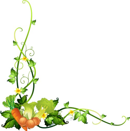 Border Vegetable Vector Images (over 10,000)