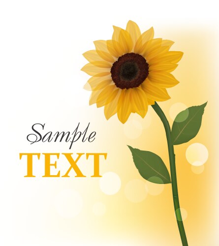 Sunflower Vector Images (over 53,000)