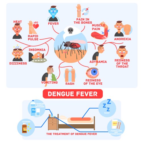 Lassa fever virus infographics elements Royalty Free Vector